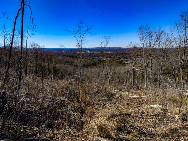 Chapman Mountain Nature Preserve - Huntsville Adventurer