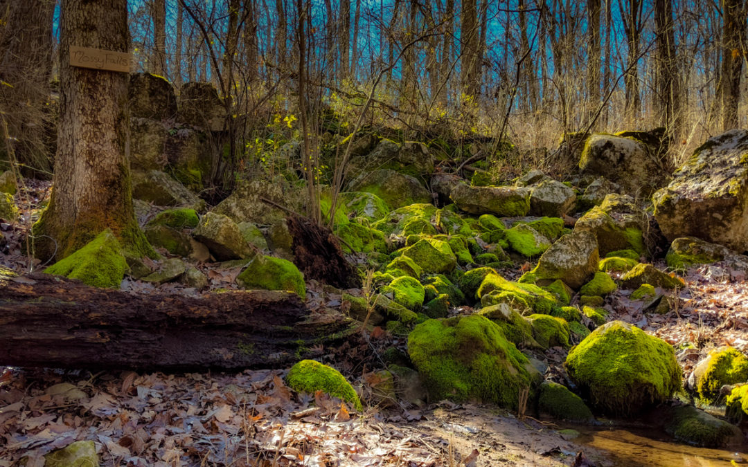 Chapman Mountain Nature Preserve - Huntsville Adventurer